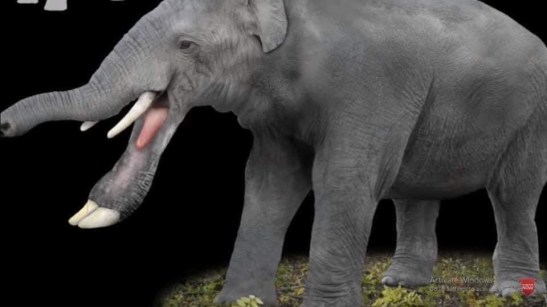 Proof of Ram 1.6 Millions years ago | HINDUISM AND SANATAN DHARMA