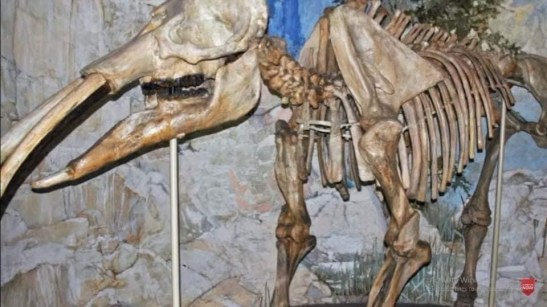 Proof of Ram 1.6 Millions years ago | HINDUISM AND SANATAN DHARMA